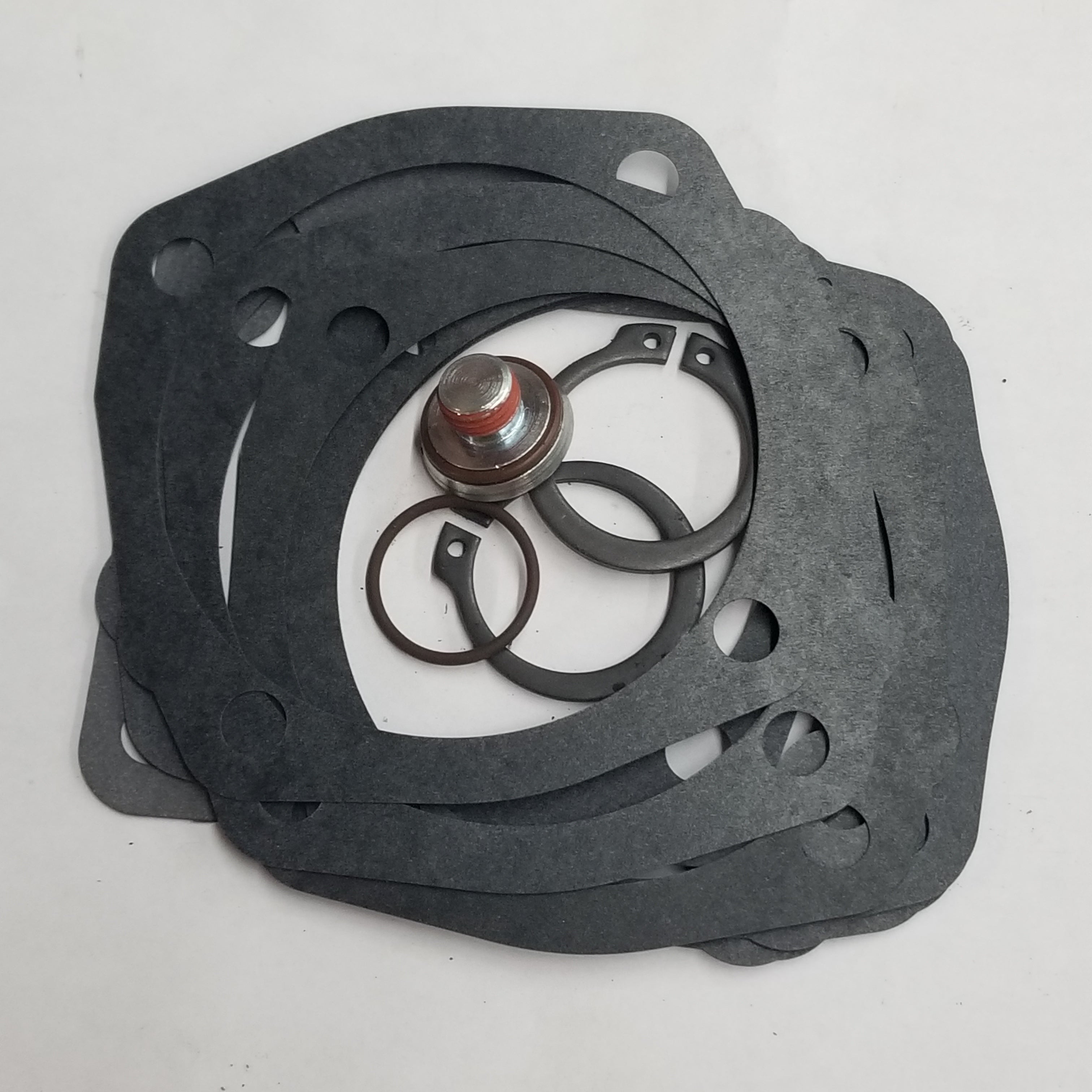 Gasket & Seal Kit; 489 Series PTO (328356-50X) – Canvac Systems Inc